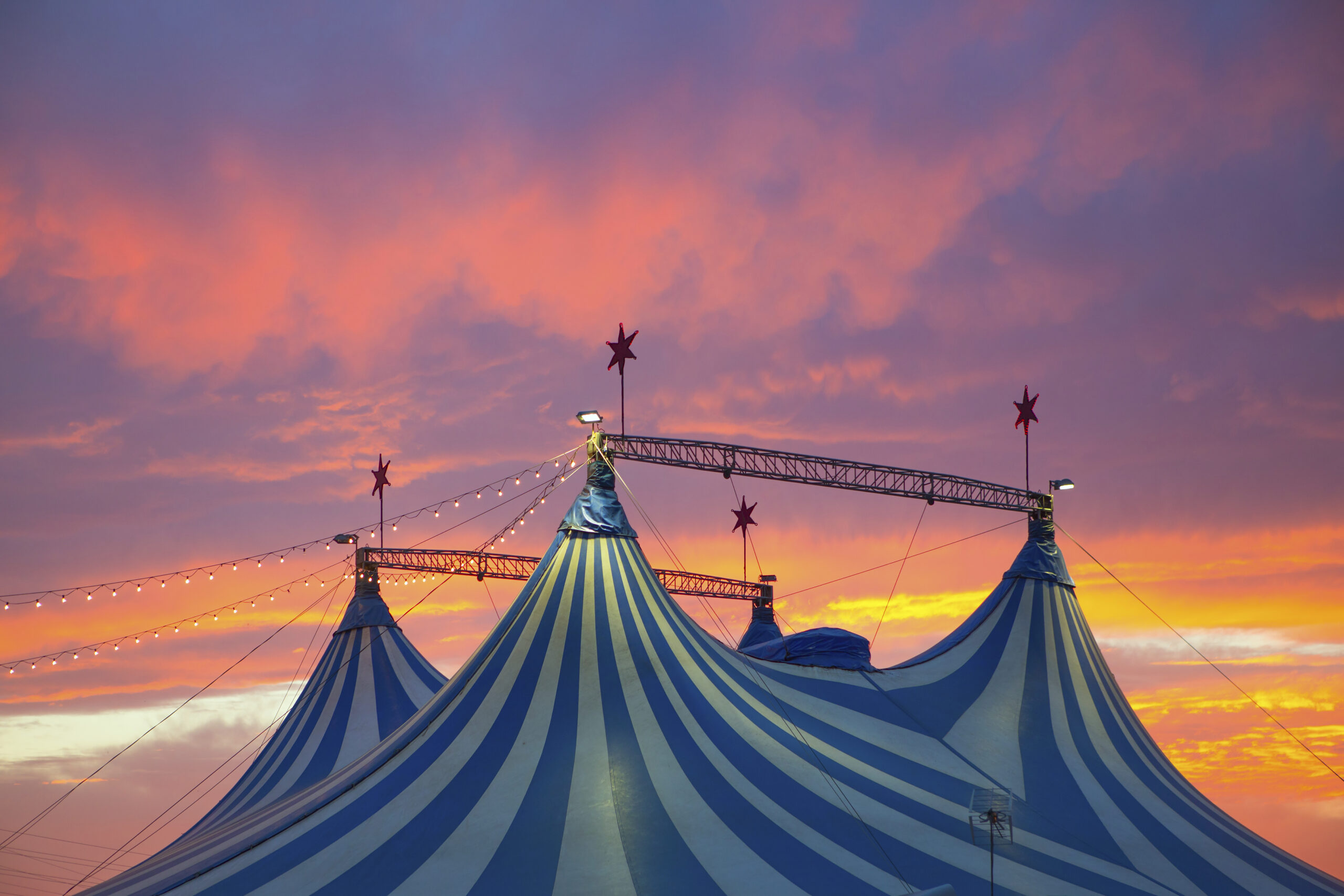 Cirkus får sin egen brancheforening - Dansk Artist Forbund